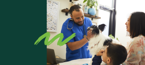 A Brighter Future For Pet Healthcare - Vetsource UK